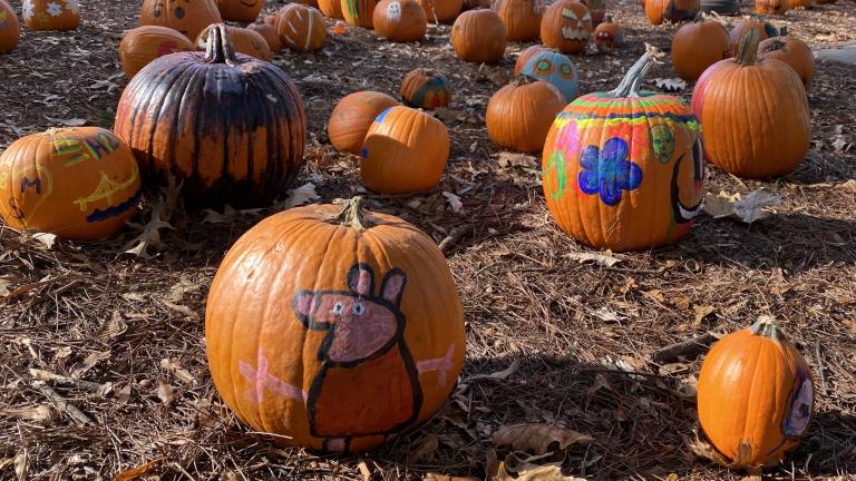 Enjoying Halloween on Campus