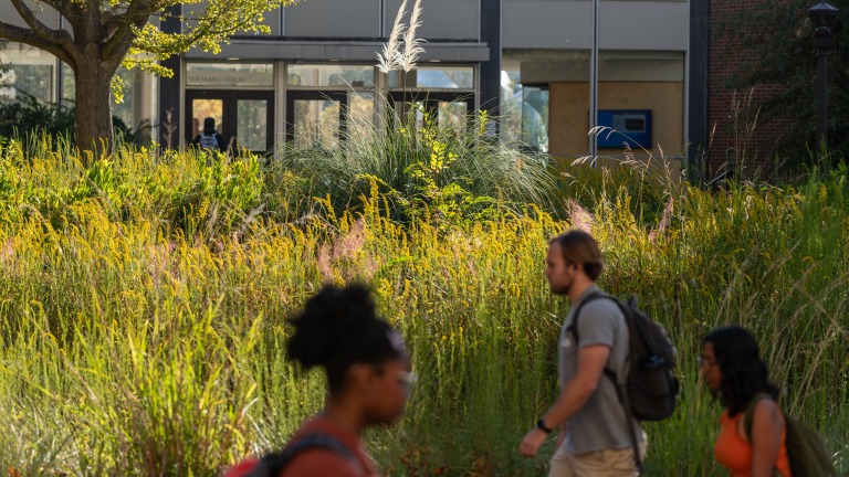 Georgia Tech's Award-Winning Campus Landscape