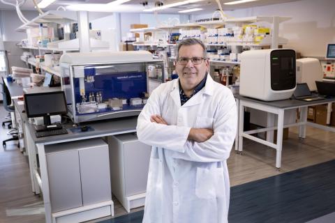 mRNA and Gene Editing Tools Offer New Hope for Dengue Virus Treatment