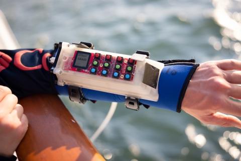 Video Illustrates Interactive Tech Created to Help Understand Dolphin ...