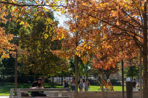 Fall Break Festivities in Atlanta