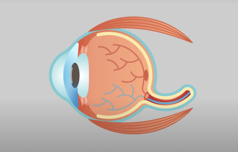 Under Pressure: Georgia Tech Researchers Discover a Potential New Way ...