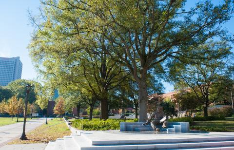 Mapping Georgia’s Urban Forest: Georgia Tech Tools Help Planners ...