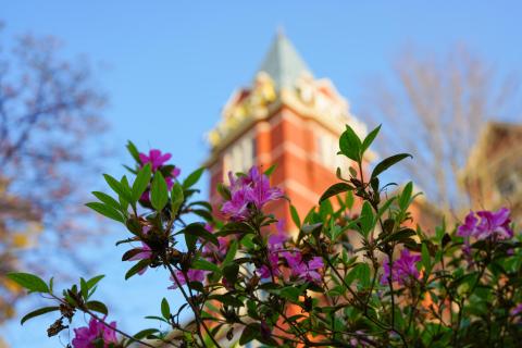 Georgia Tech Graduate Programs Stand Among the Nation’s Best in 2026 ...
